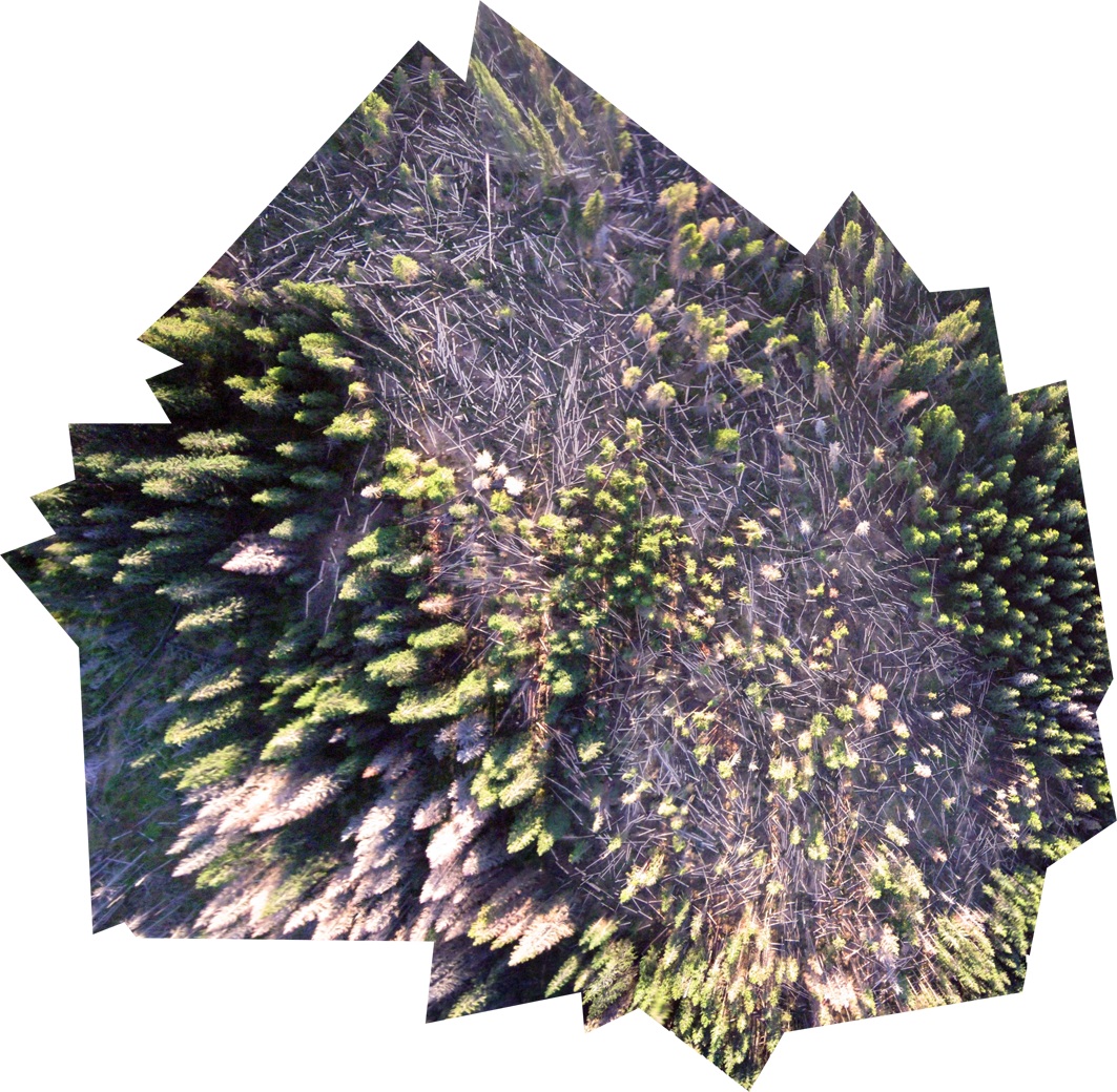 Balloon mapping kits by Mathew Lippincott – Impact Lab