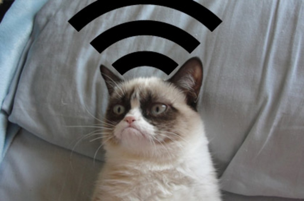 Hacker Cats: A New Threat to your WI-FI – Impact Lab