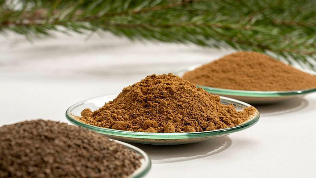 Batteries made from trees could help transform the future of electric ...