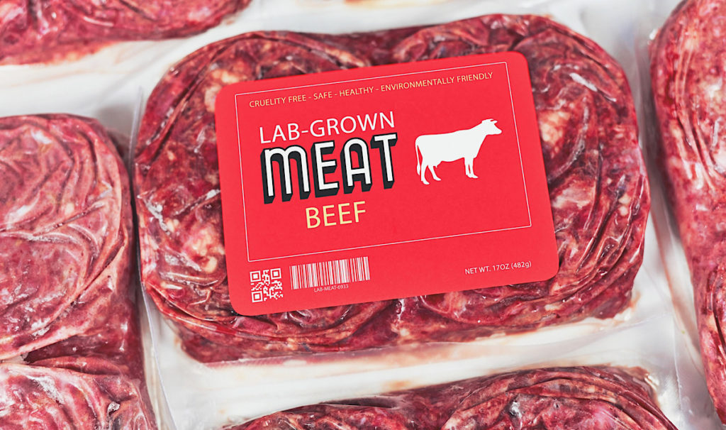 THE USDA JUST MADE ITS FIRST INVESTMENT IN LAB-GROWN MEAT – Impact Lab