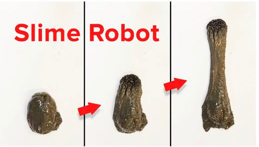 Your Next Surgeon Could Be a Slime Robot – Impact Lab