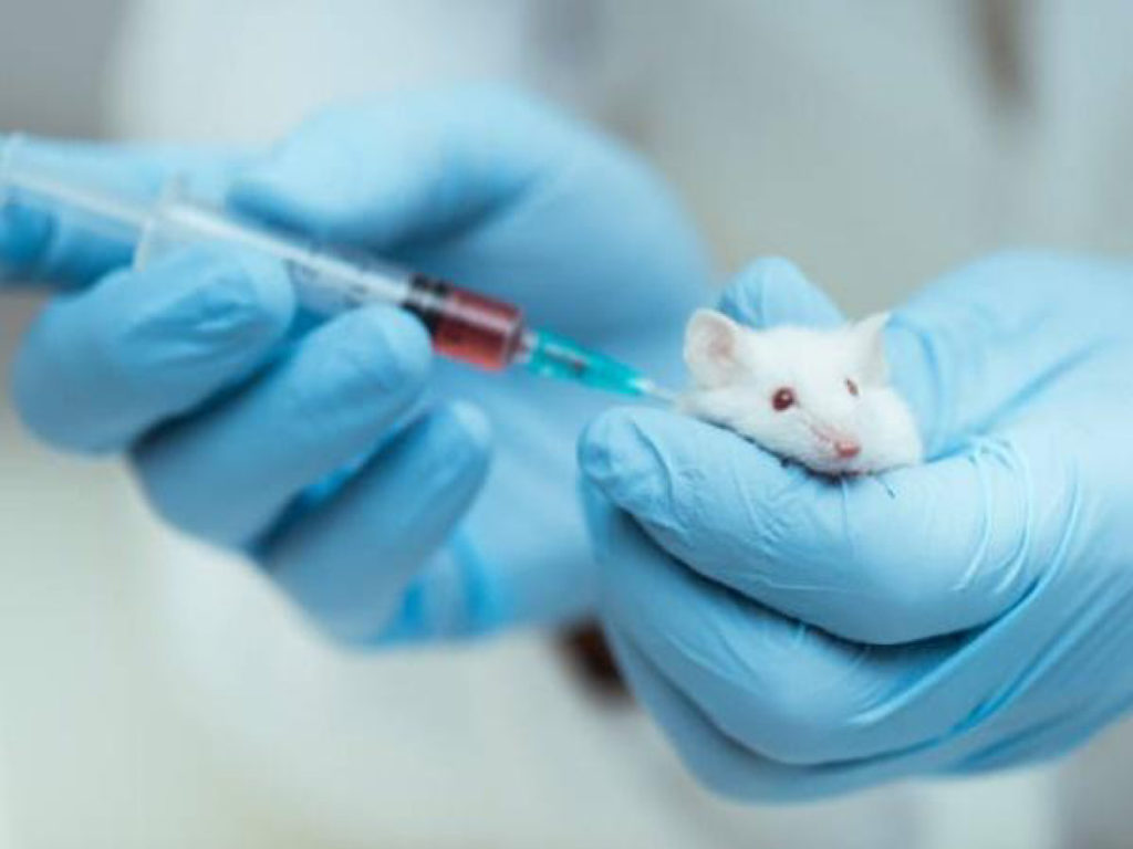 Scientists Reverse Ageing In Old Mice Using Brain Fluid From Younger ...