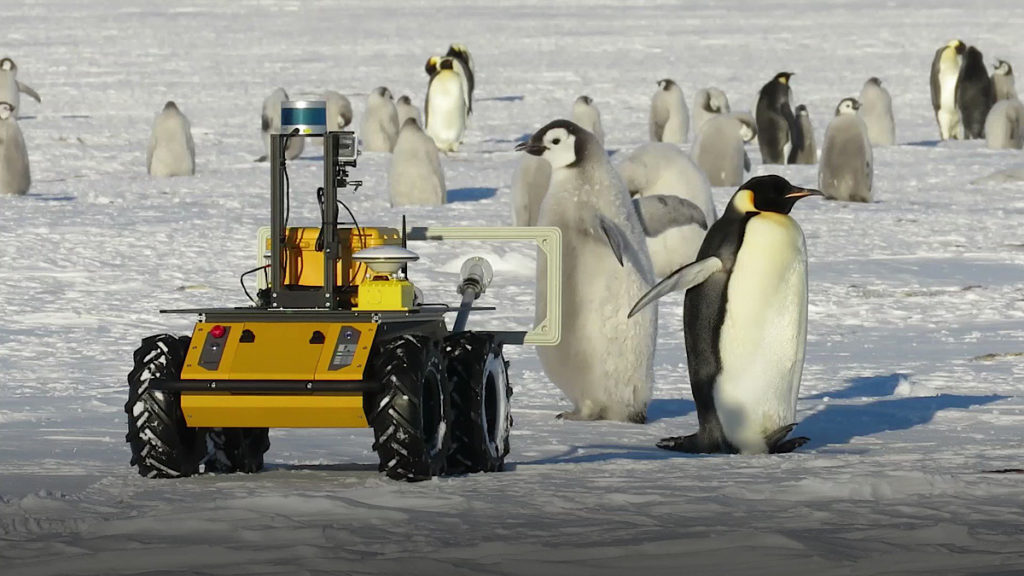 In Antarctica, a clunky robot has befriended a colony of penguins ...