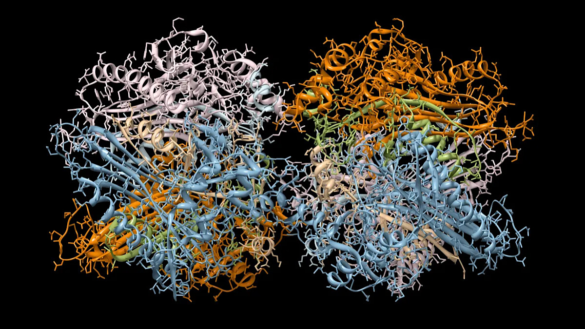 Google’s DeepMind AI Predicts 3D Structure of Nearly Every Protein ...