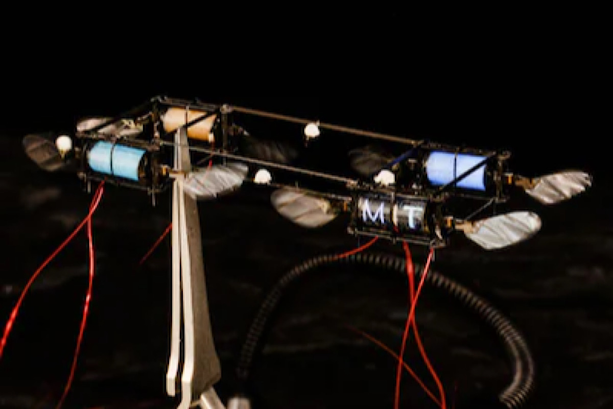 MIT Researchers Develop Insect-Sized Robot Fireflies That Emit Light ...