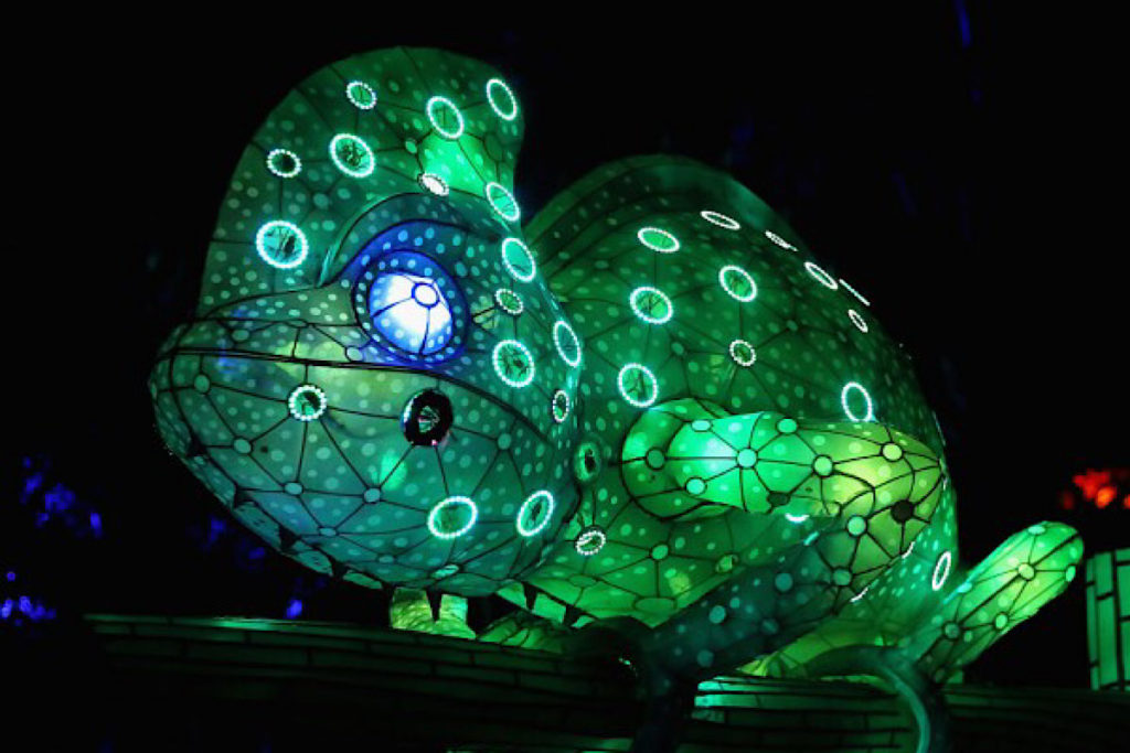 ‘Chameleon Robots:’ These Robots Can Change Colors and Mimic Their ...