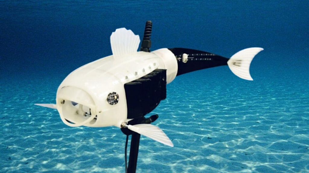 Open-source fish robot starts collecting microplastics from local lakes in the UK – Impact Lab