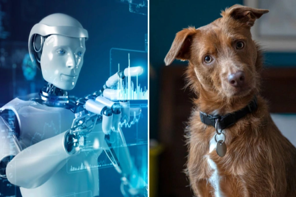 CHILLING AI DEVELOPMENT MEANS THAT ROBOTS CAN NOW TALK TO ANIMALS – AND ...