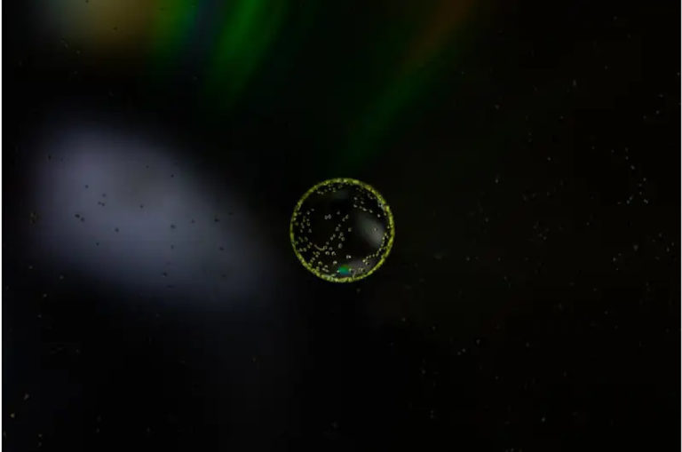 Researchers create Cyborg Cells—natural-artificial cell hybrids ...