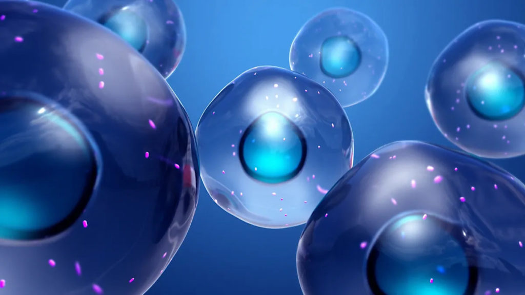 MIT researchers developed self-assembling proteins that can store ...