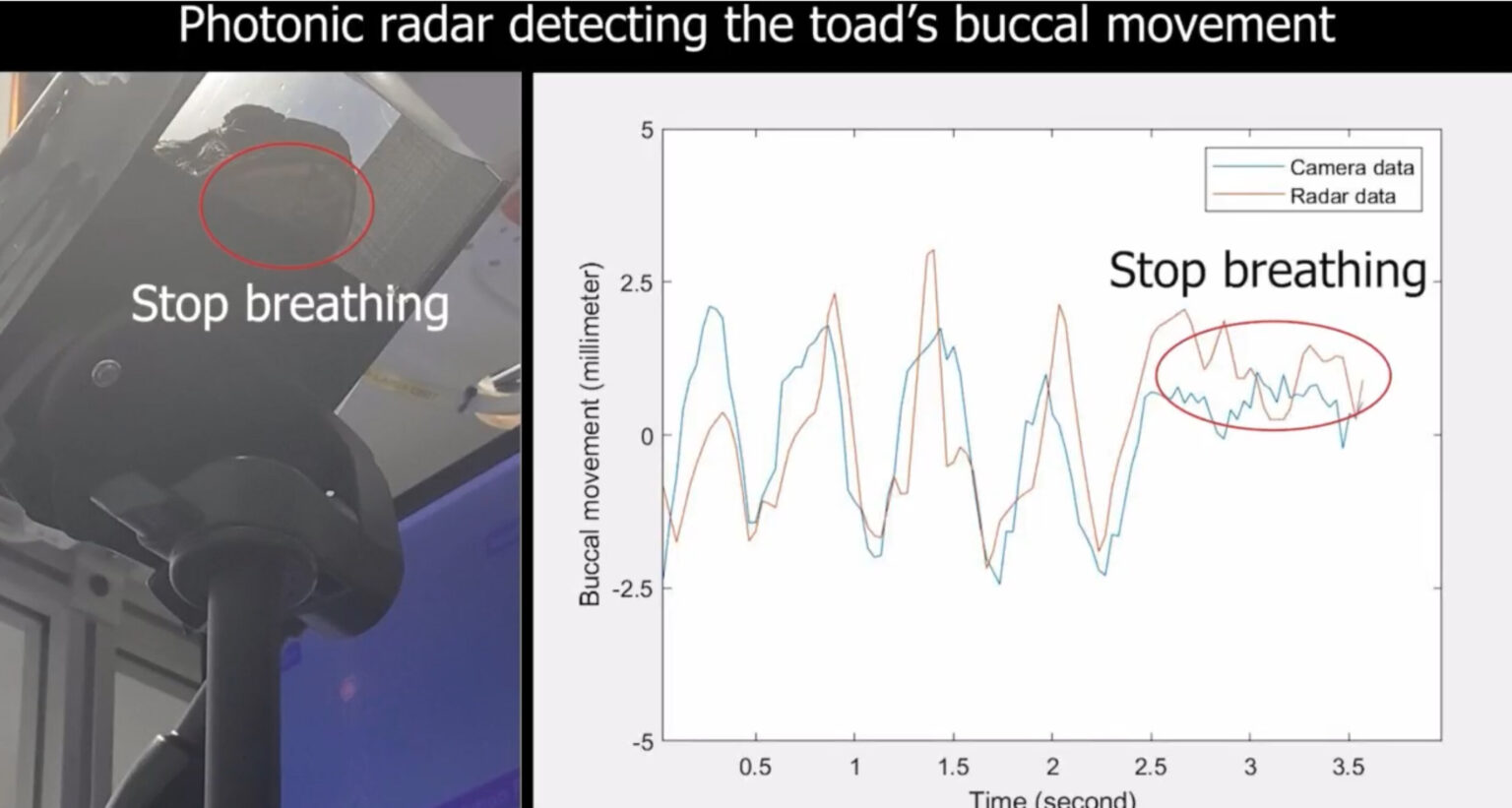 Researchers Develop Non-Invasive Photonic Radar System for Precise ...