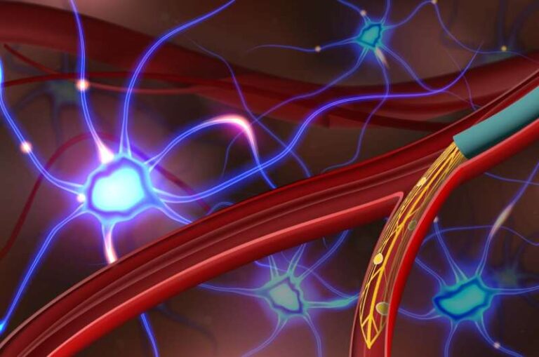 Ultra-Flexible Neural Probes Implanted into Micro Blood Vessels for ...