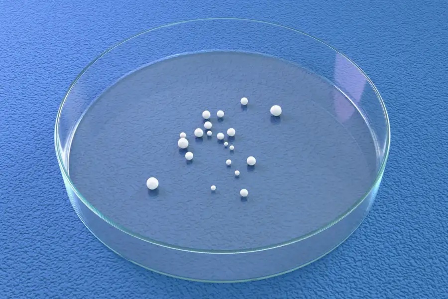 Brainoware: Human Brain Cell ‘Mini-Brains’ Show Basic Speech ...