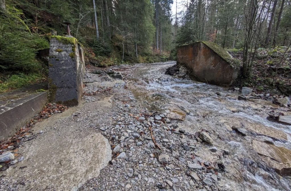 Europe Celebrates Record-breaking Removal of River Barriers, Paving the ...
