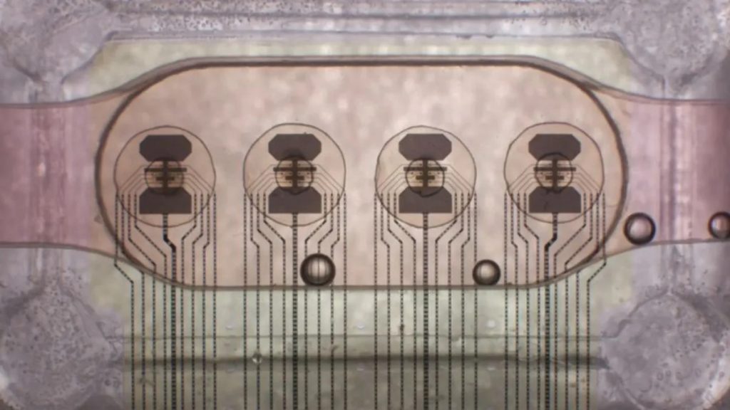 FinalSpark Unveils Neuroplatform: Revolutionizing Biocomputing with ...