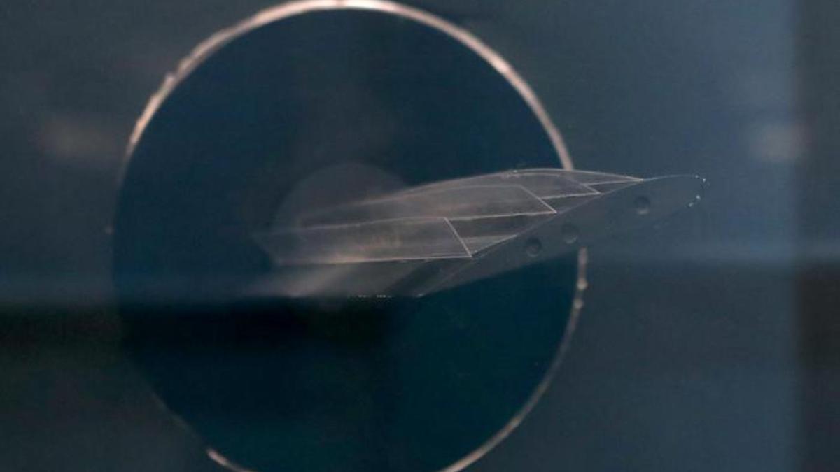 Inspired by Birds, Princeton Engineers Develop Advanced Multi-Row Wing ...