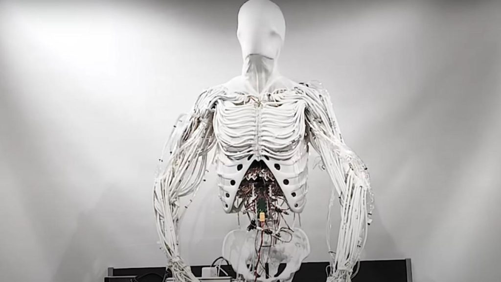 Clone Robotics Unveils Human-Like Torso, Paving the Way for Biomimetic ...