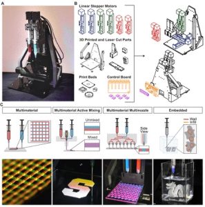 Revolutionizing Bioprinting: Stanford’s $250 Open-Source Bioprinter ...