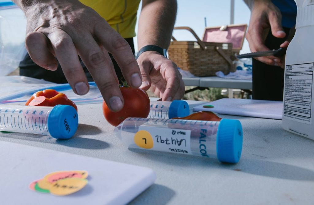Google X’s Heritable Agriculture Aims to Revolutionize Crop Production ...