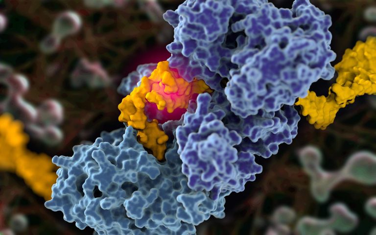 Uncovering Pol-theta’s Role in Cancer: A New Target for Precision ...