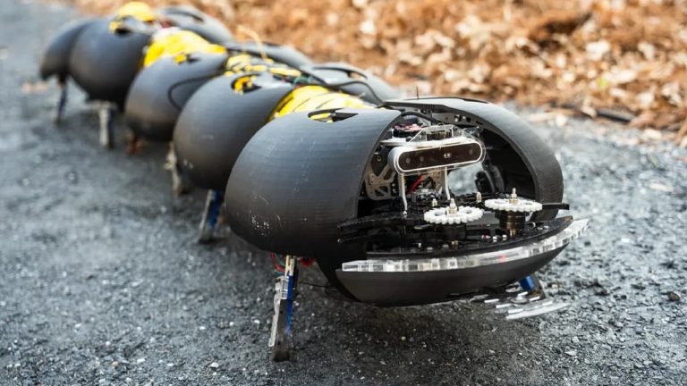 Crawling Toward the Future: Robotic Centipedes Aim to Revolutionize ...