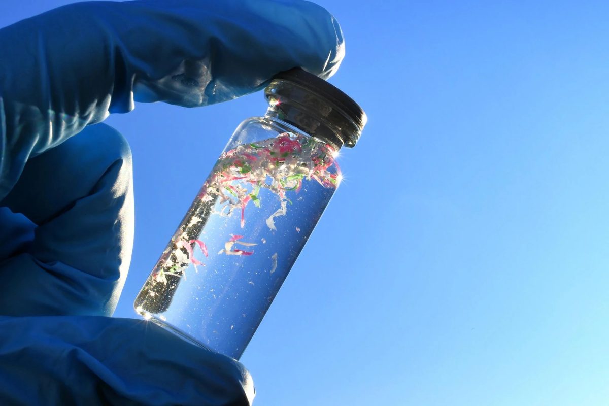 Plant-Based Powders Show Promise for Microplastic Removal in Water ...