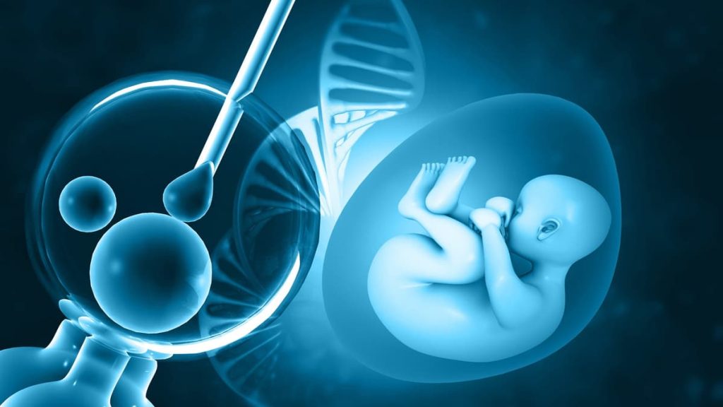 Designing Health Before Birth: New Software Offers Genetic Insights for ...