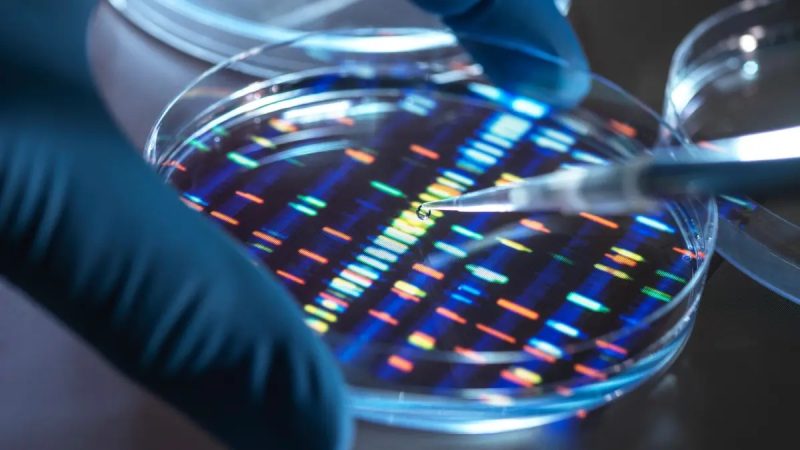 UK Scientists Launch First-Ever Synthetic Human Genome Project – Impact Lab
