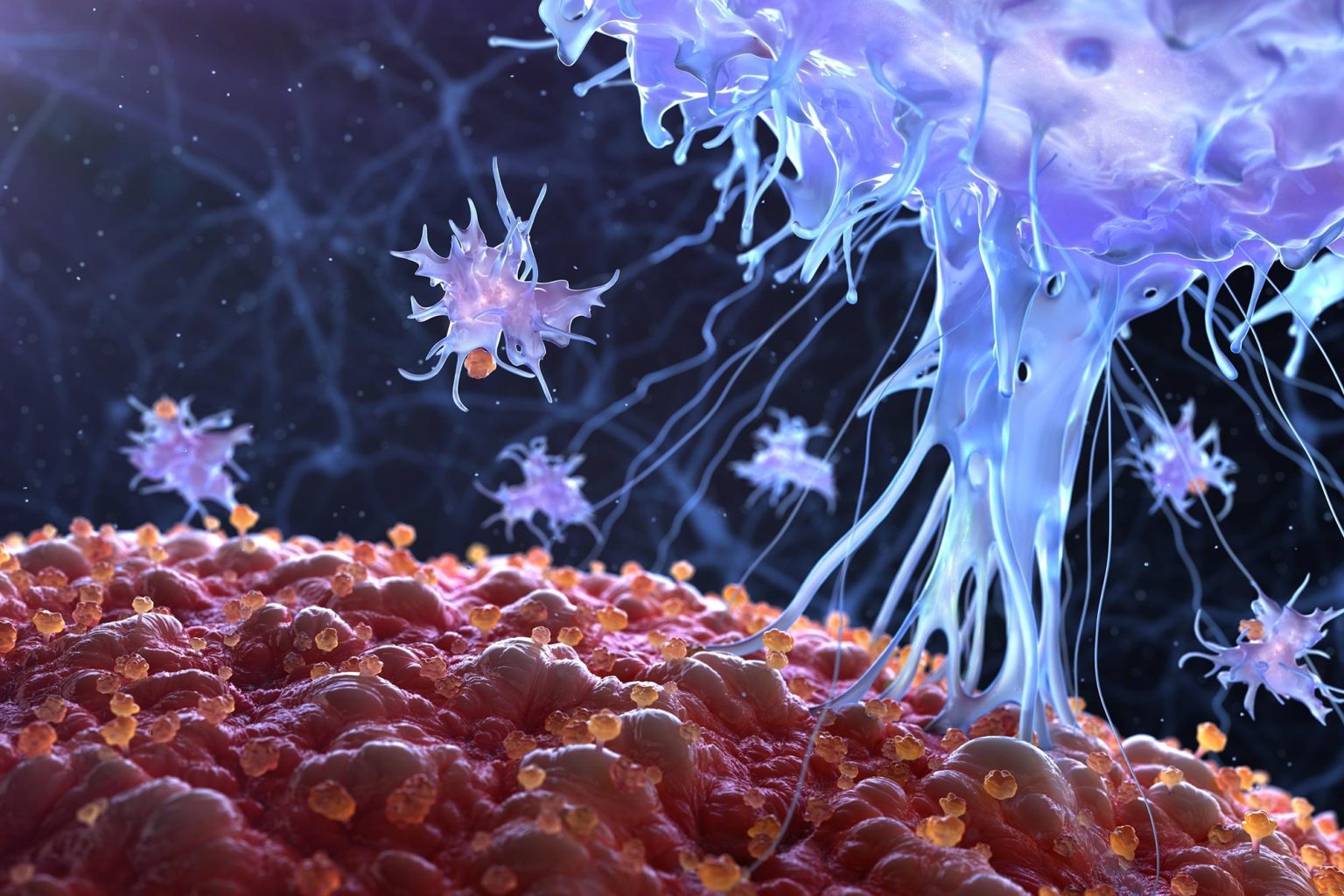 Using Electricity To “Reprogram” the Immune System for Faster Healing ...