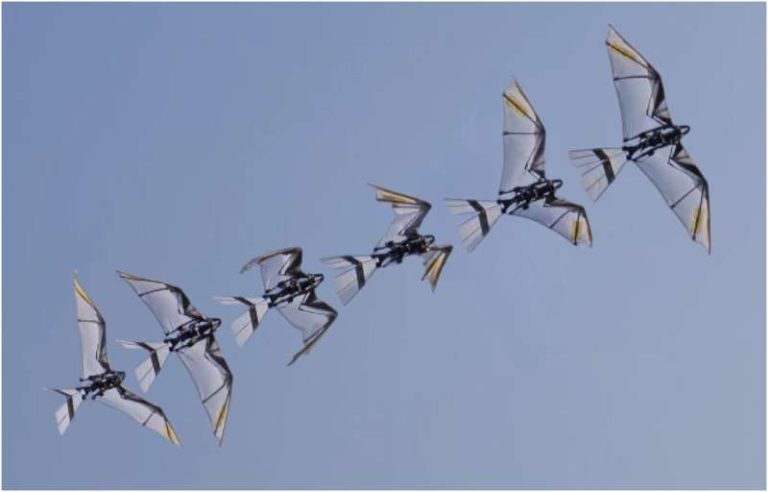 The Dawn of Bird-Like Flight – Impact Lab